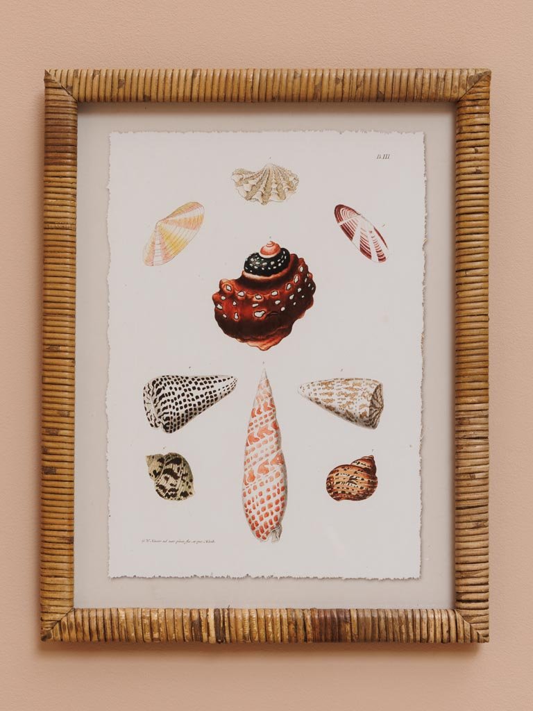 Distinctly Living - Homewares, Furniture and Lighting