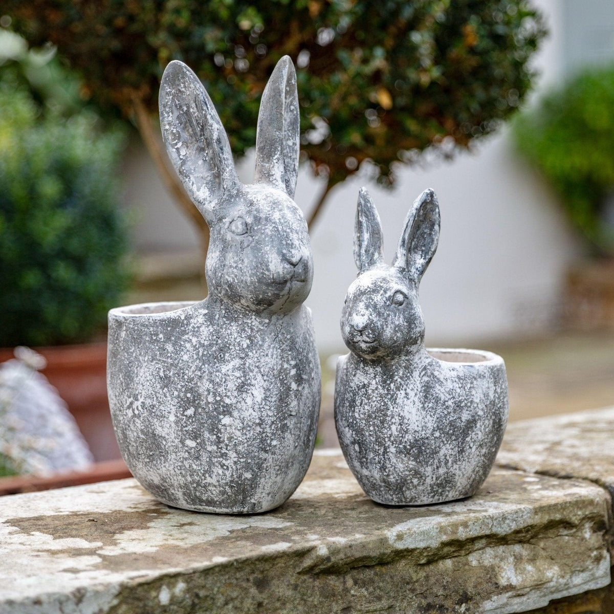 Rabbit Plant Pot Homeware– Distinctly Living